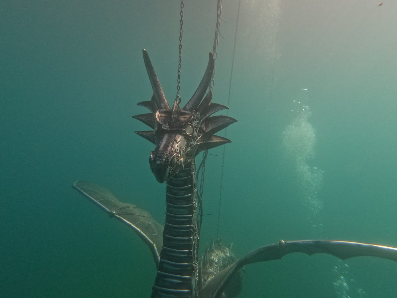 Die NIXE beim Tauchen im Sundhäuser See Nordhausen - 13. - 15.08.2023 ...